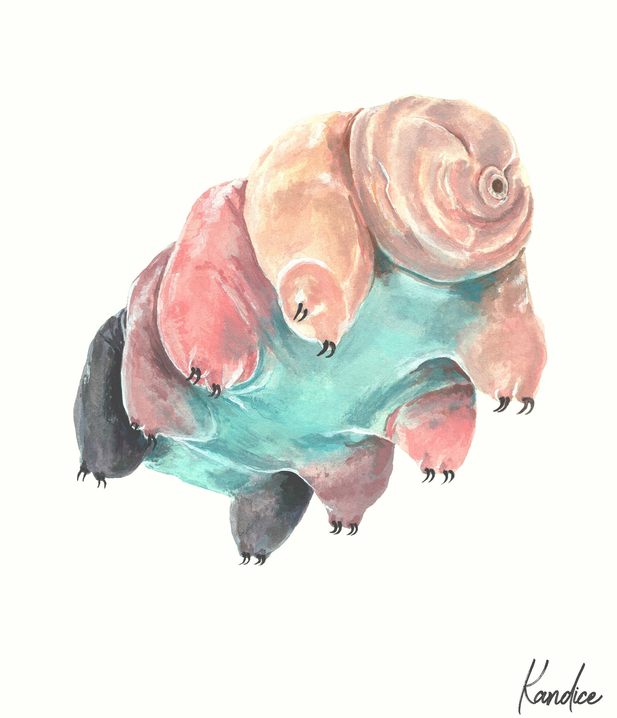 Tardigrade Water Bear Painting. Signed Art Print | Etsy