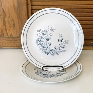 Corelle Colonial Mist Dinner Plates Set of 2 Pyrex Colonial Mist 10 1/2 ...
