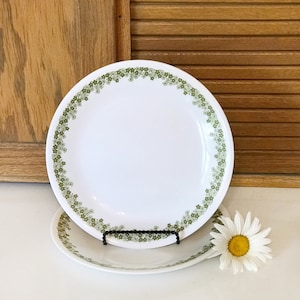 Vintage Corelle Spring Blossom Green Dinner Set for 2 11 Pieces Corelle ...
