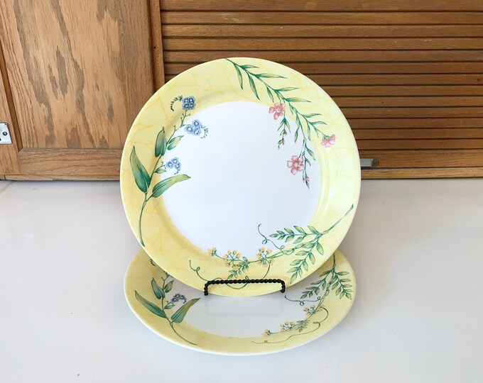 Corelle Sun Garden Dinner Plates Set of 2 Corelle Dinnerware - Etsy