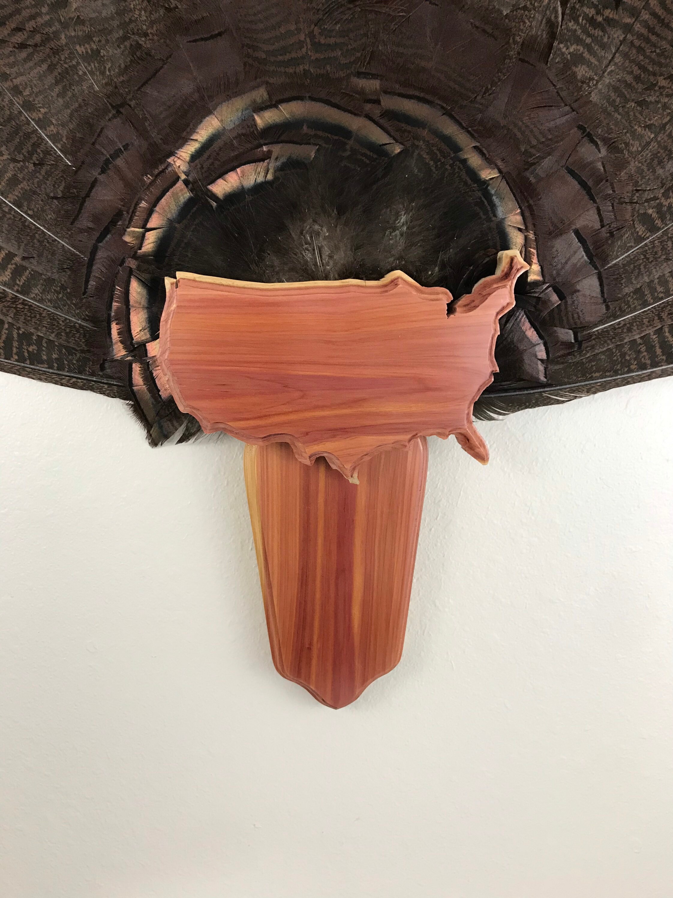 USA Shaped Turkey Mount Plaque - Etsy