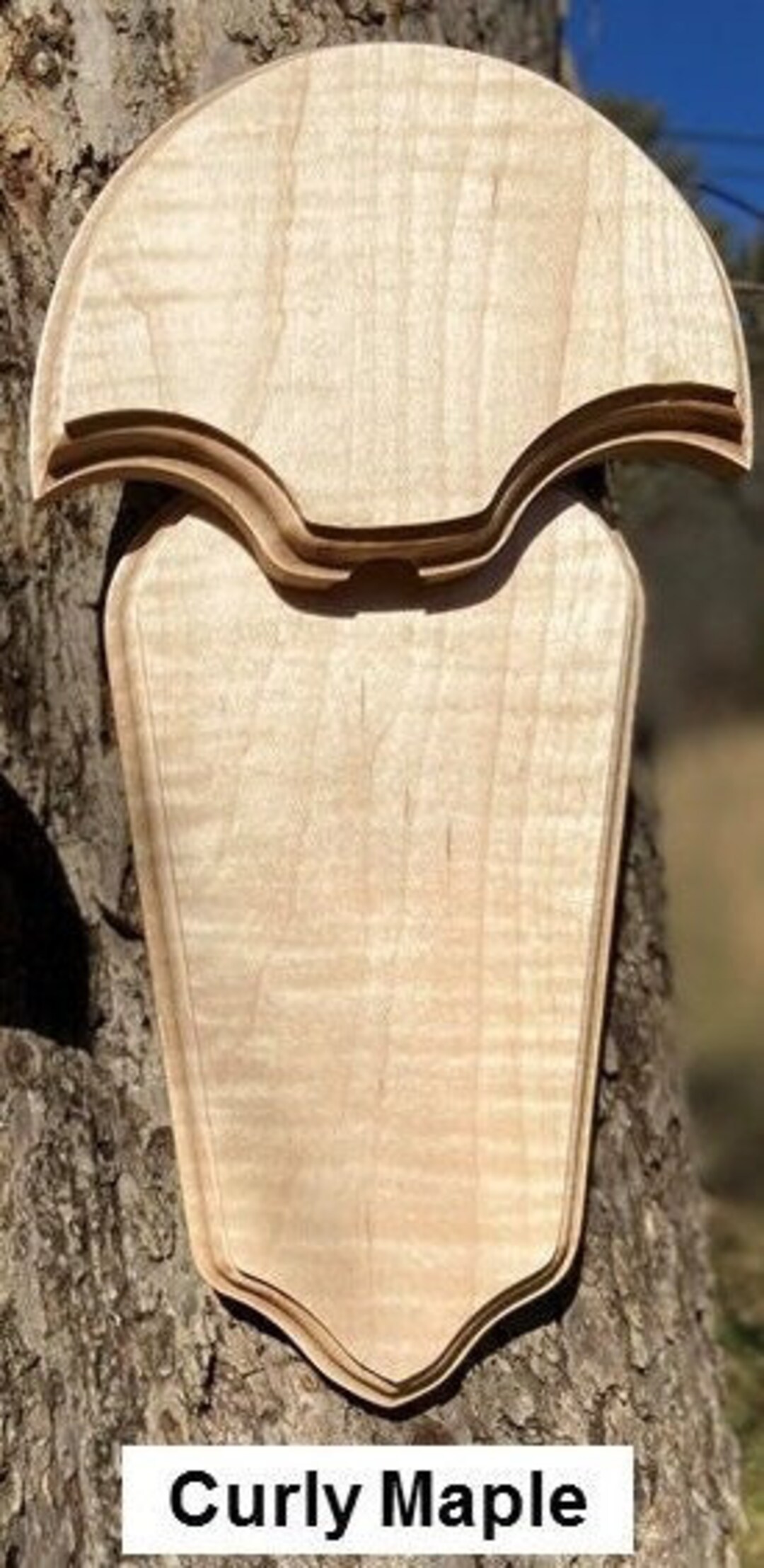 Handmade Classic Turkey Mount Plaque - Etsy