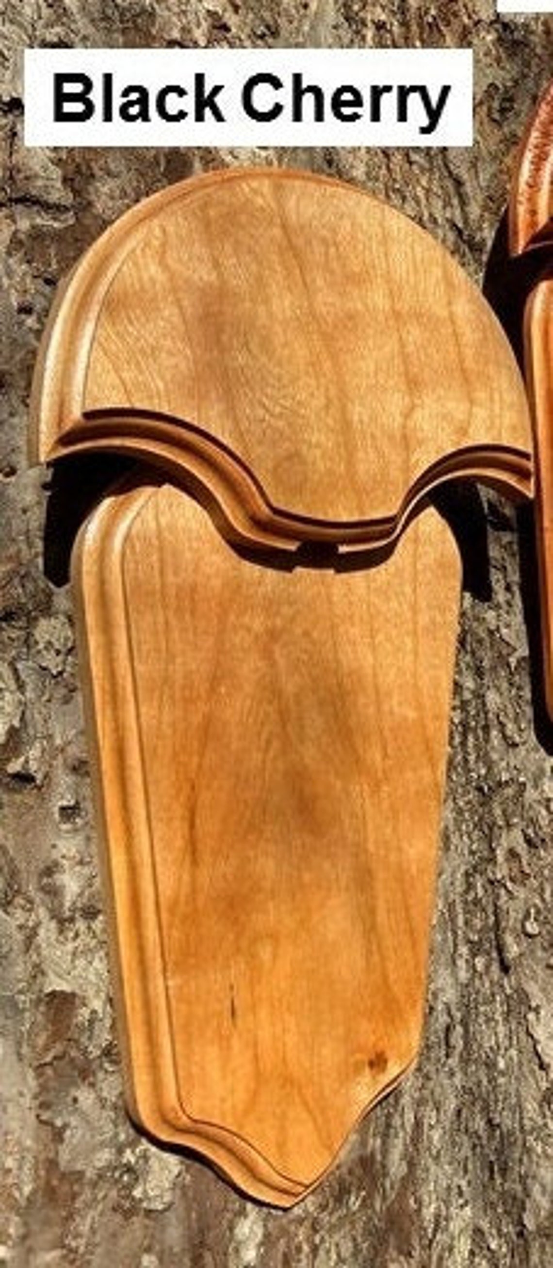 Handmade Classic Turkey Mount Plaque - Etsy