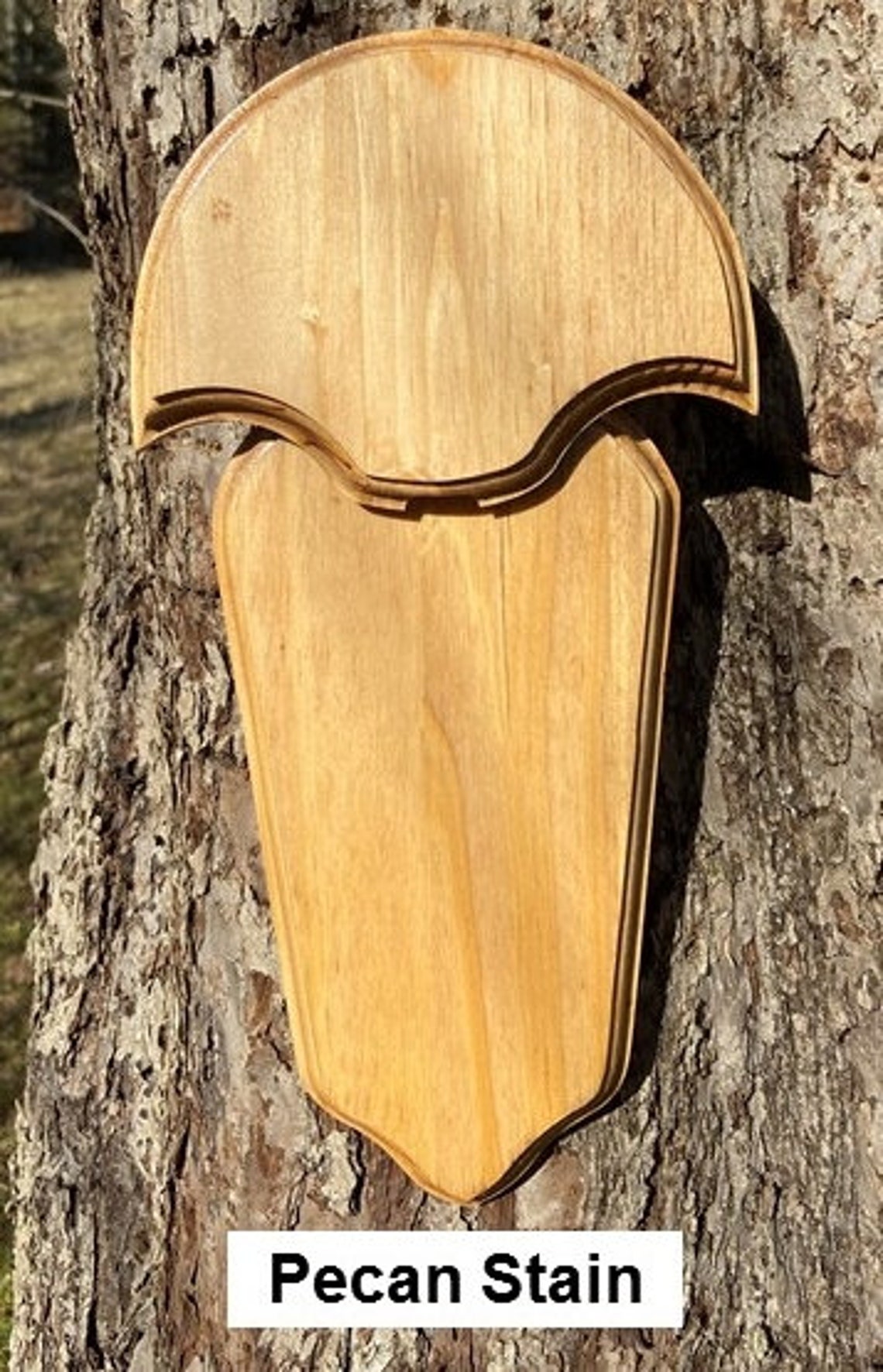 Handmade Classic Turkey Mount Plaque - Etsy