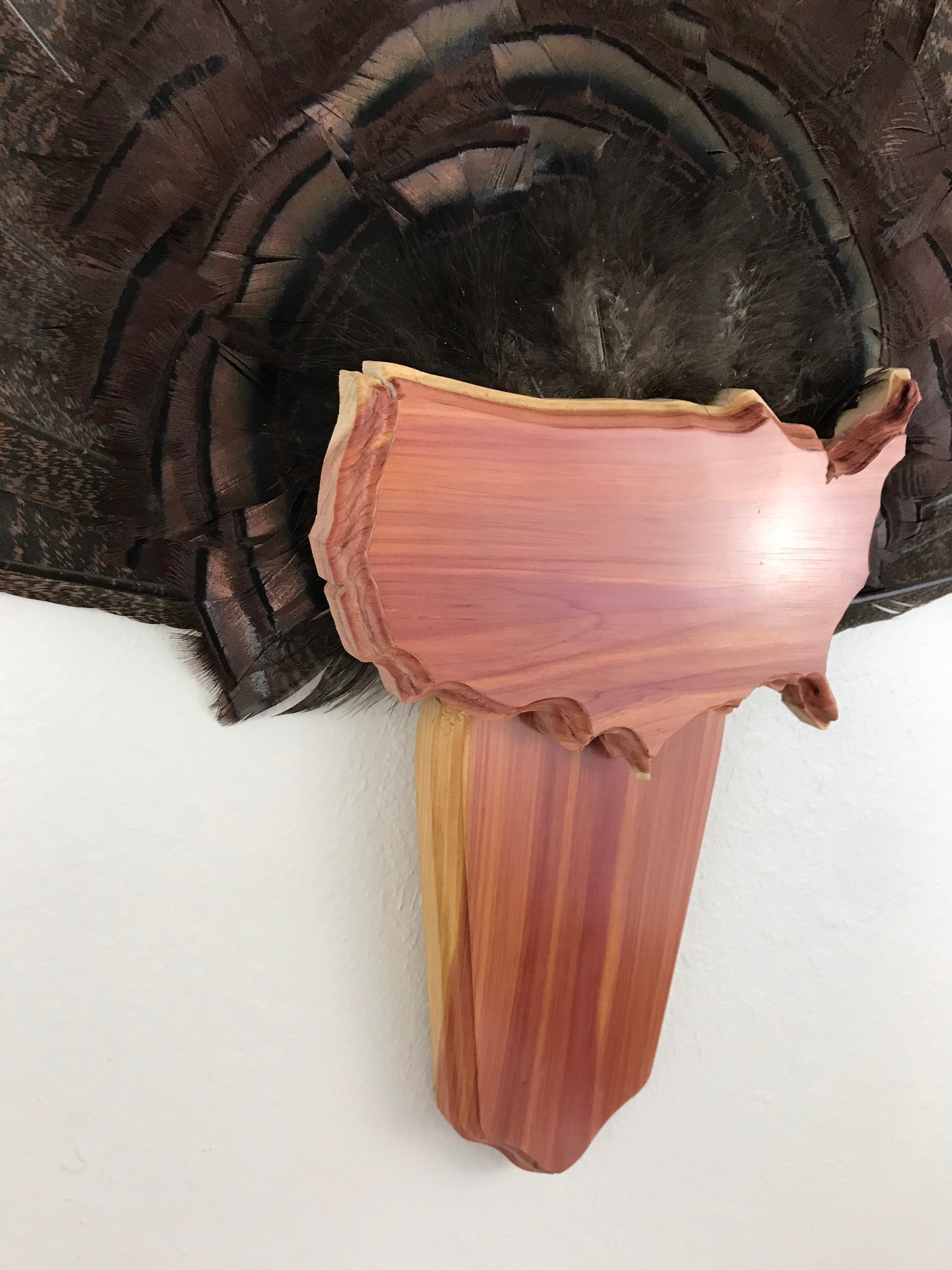 USA Shaped Turkey Mount Plaque - Etsy