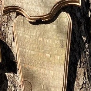 Handmade Classic Turkey Mount Plaque - Etsy