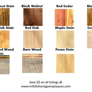 Handmade Classic Turkey Mount Plaque - Etsy