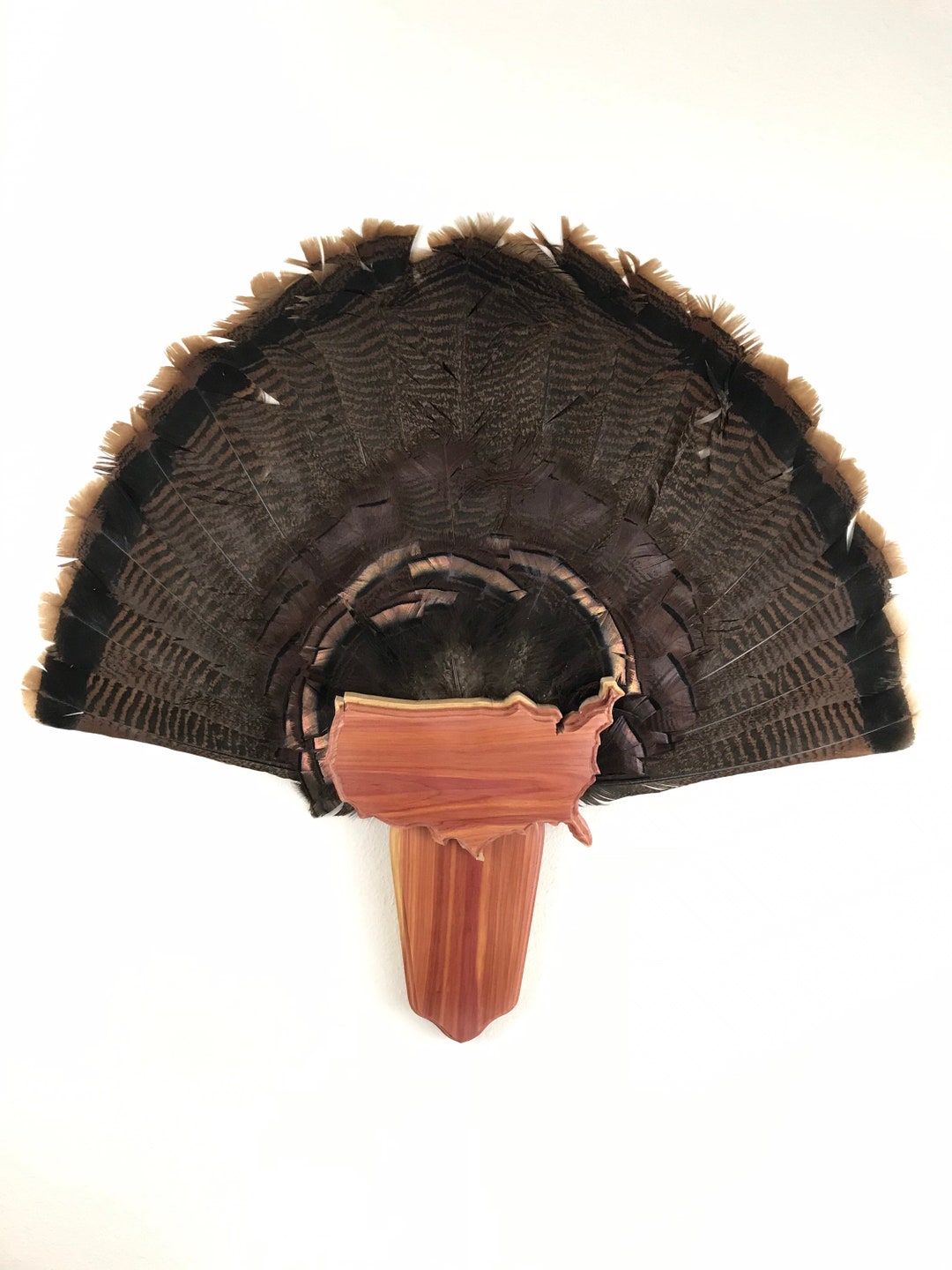 USA Shaped Turkey Mount Plaque - Etsy