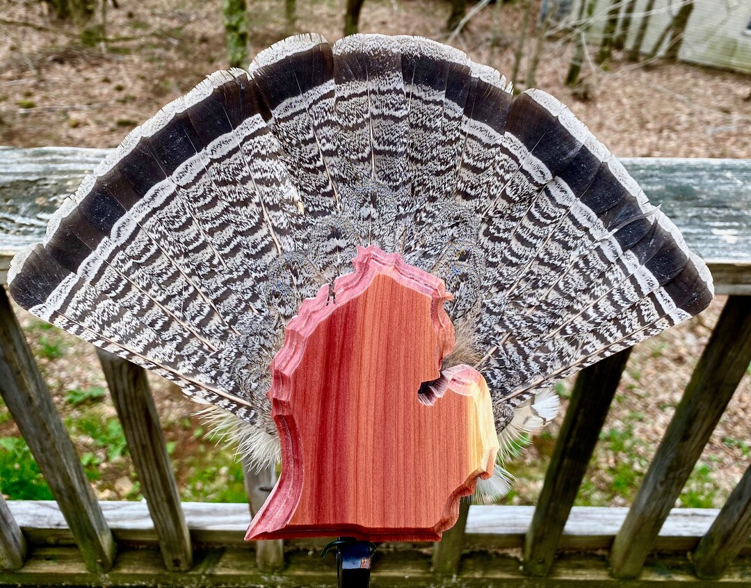 State Shaped Grouse and Pheasant Fan Mount Plaques (NOT for Turkey Fan ...