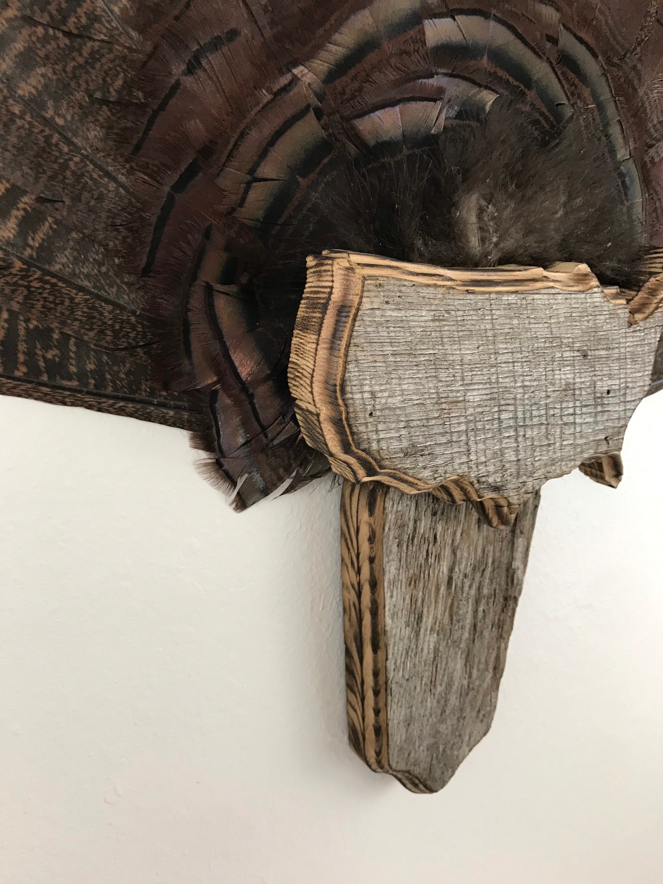 USA Shaped Turkey Mount Plaque - Etsy