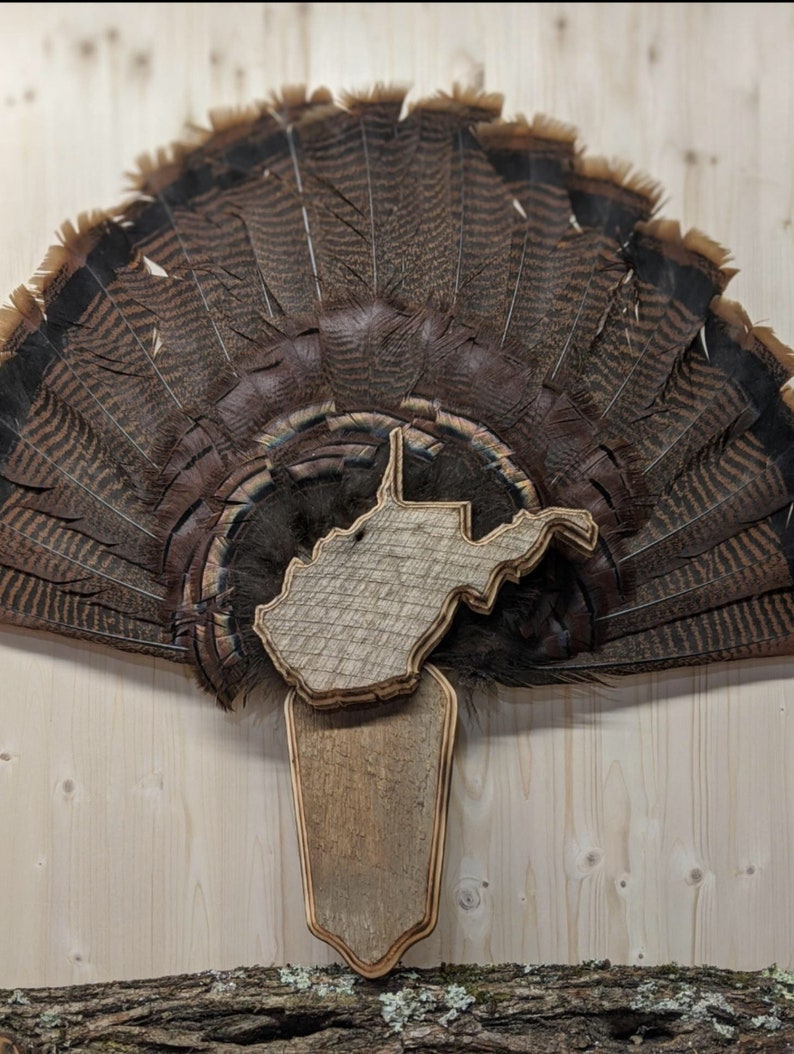 Barn Wood State Shaped Turkey Mount Plaque ALL STATES - Etsy