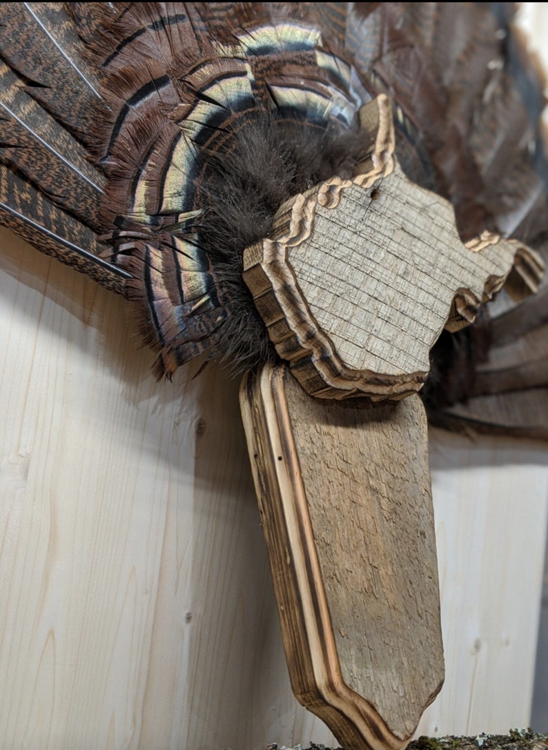 Barn Wood State Shaped Turkey Mount Plaque ALL STATES - Etsy