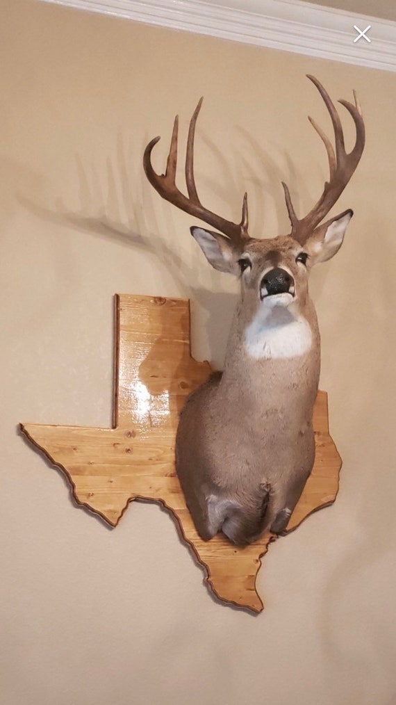 European Elk Mount Plaque