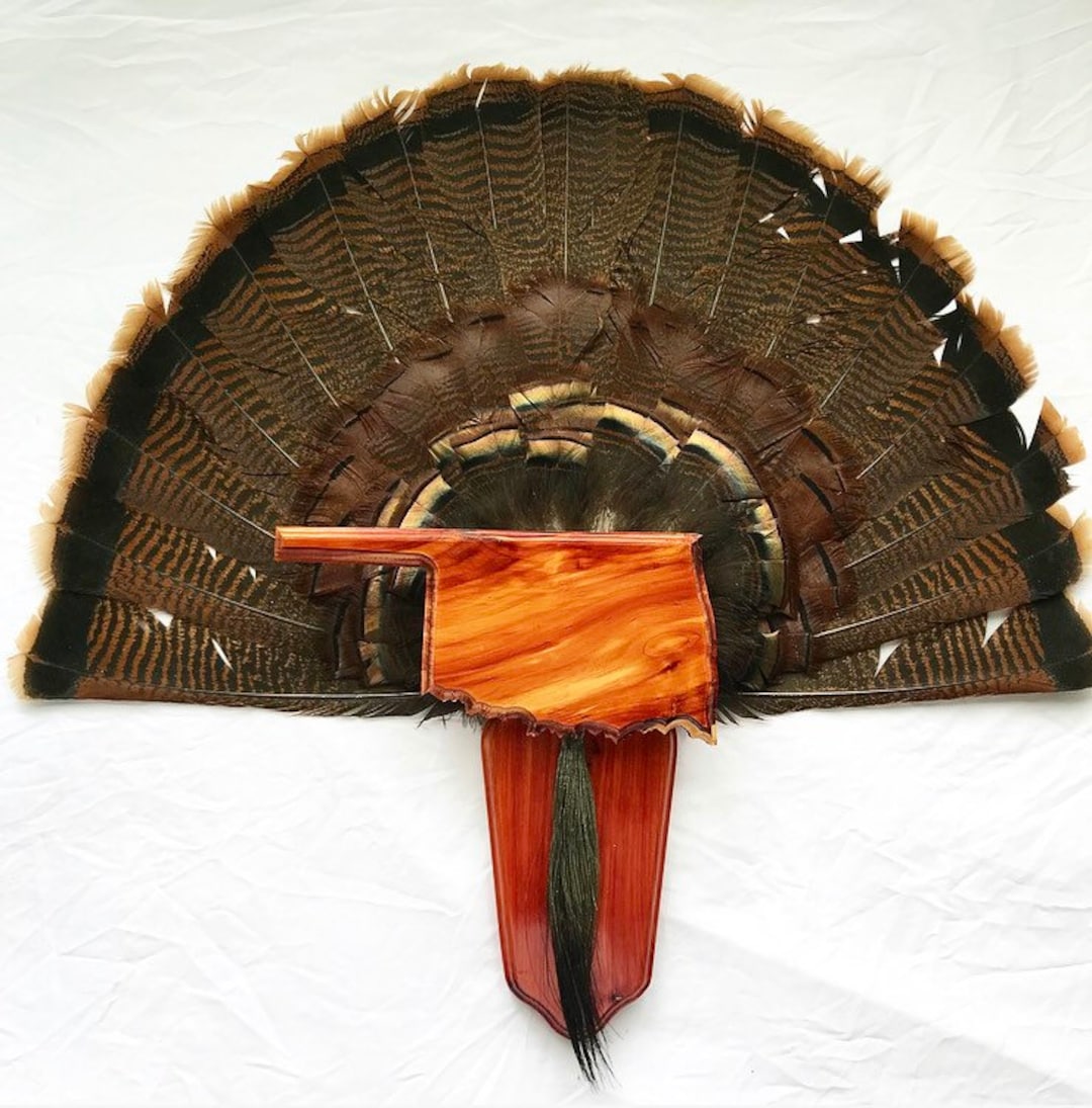 State Shaped Turkey Mount (ALL STATES) - Etsy