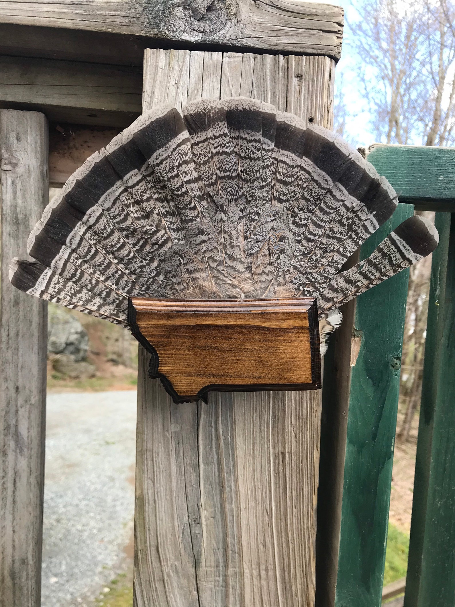 State Shaped Grouse and Pheasant Fan Mount Plaques NOT for - Etsy