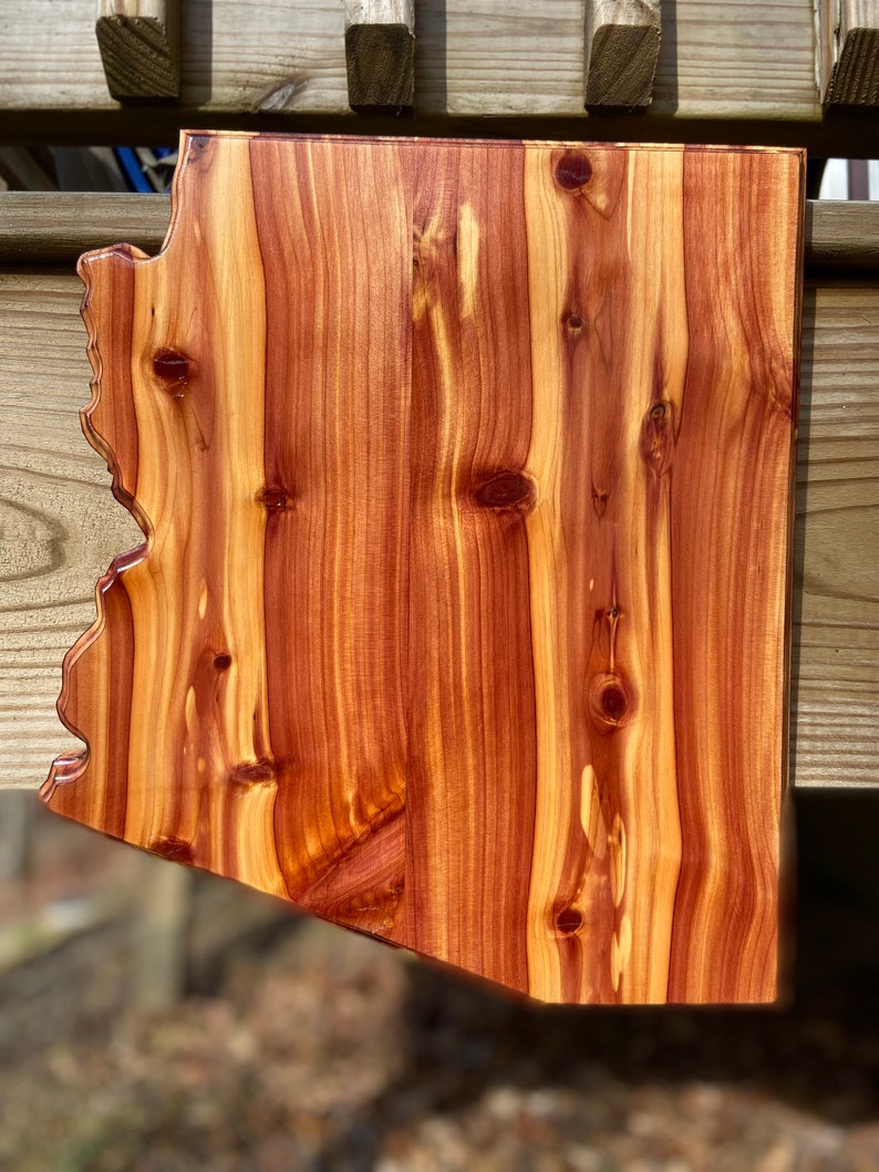 State Shaped European Skull Mount Plaques - Etsy