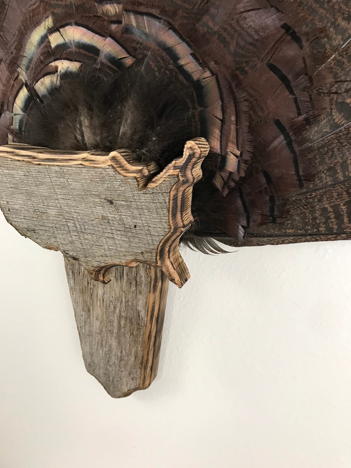 USA Shaped Turkey Mount Plaque - Etsy