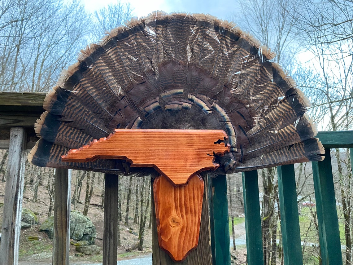 State Shaped Turkey Mount ALL STATES | Etsy