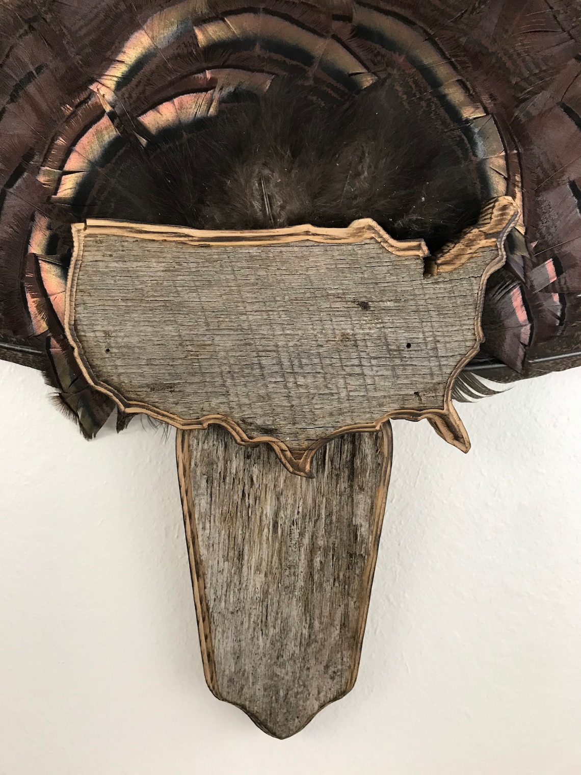 USA Shaped Turkey Mount Plaque - Etsy