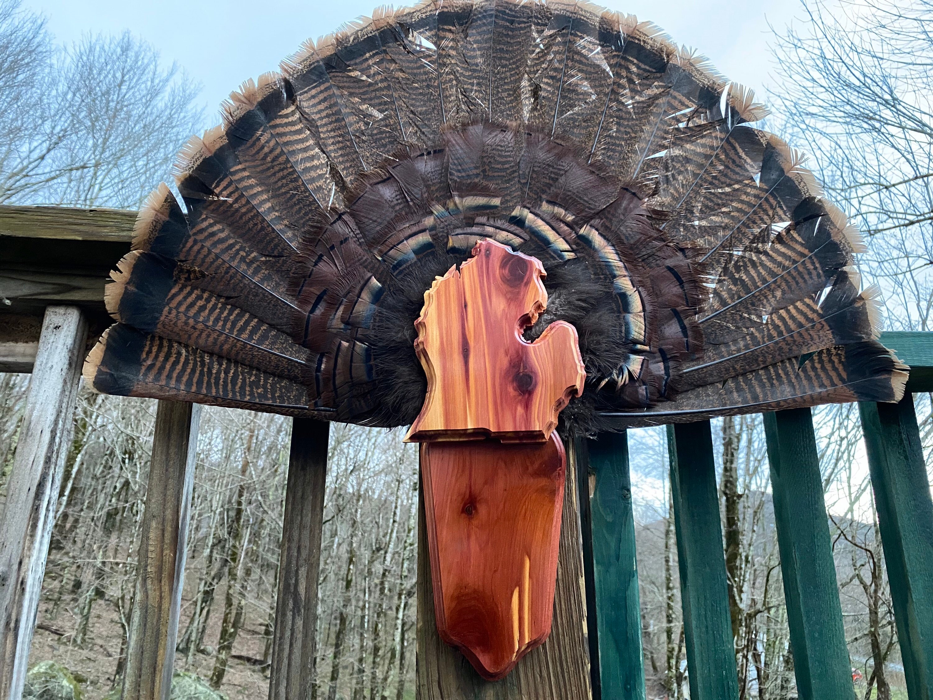 State Shaped Turkey Mount ALL STATES - Etsy