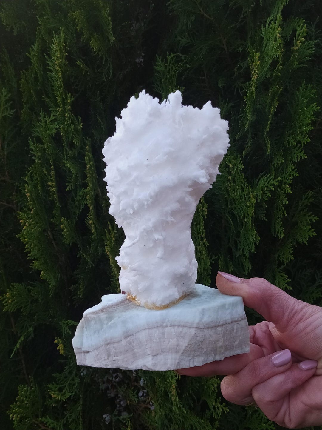 Double Aragonite Specimen, Acicular White Crystal on Blue Base - Etsy
