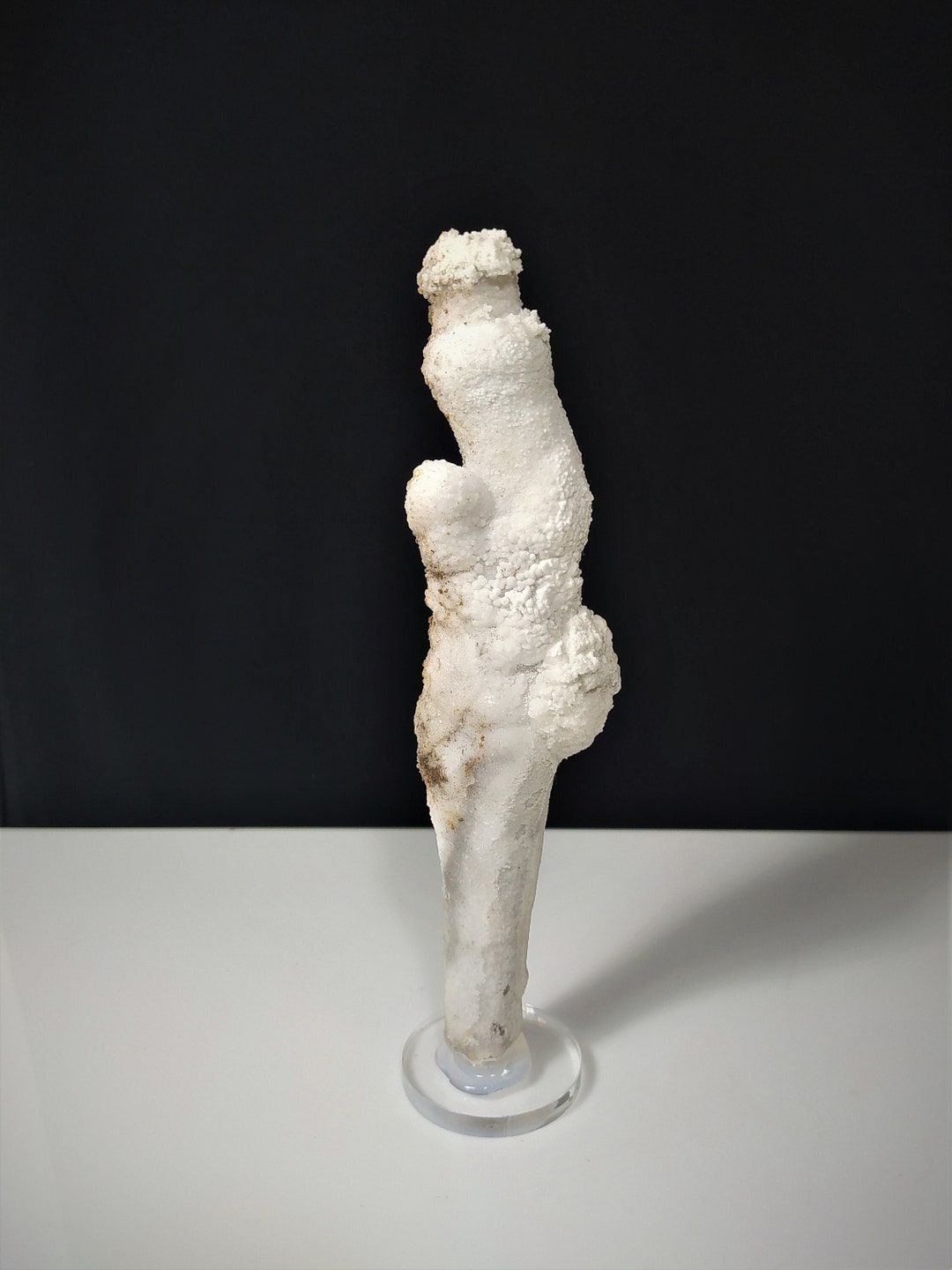 Aragonite Coral, Crystals Flos Ferri ,greek Mineral,rare Specimen ...
