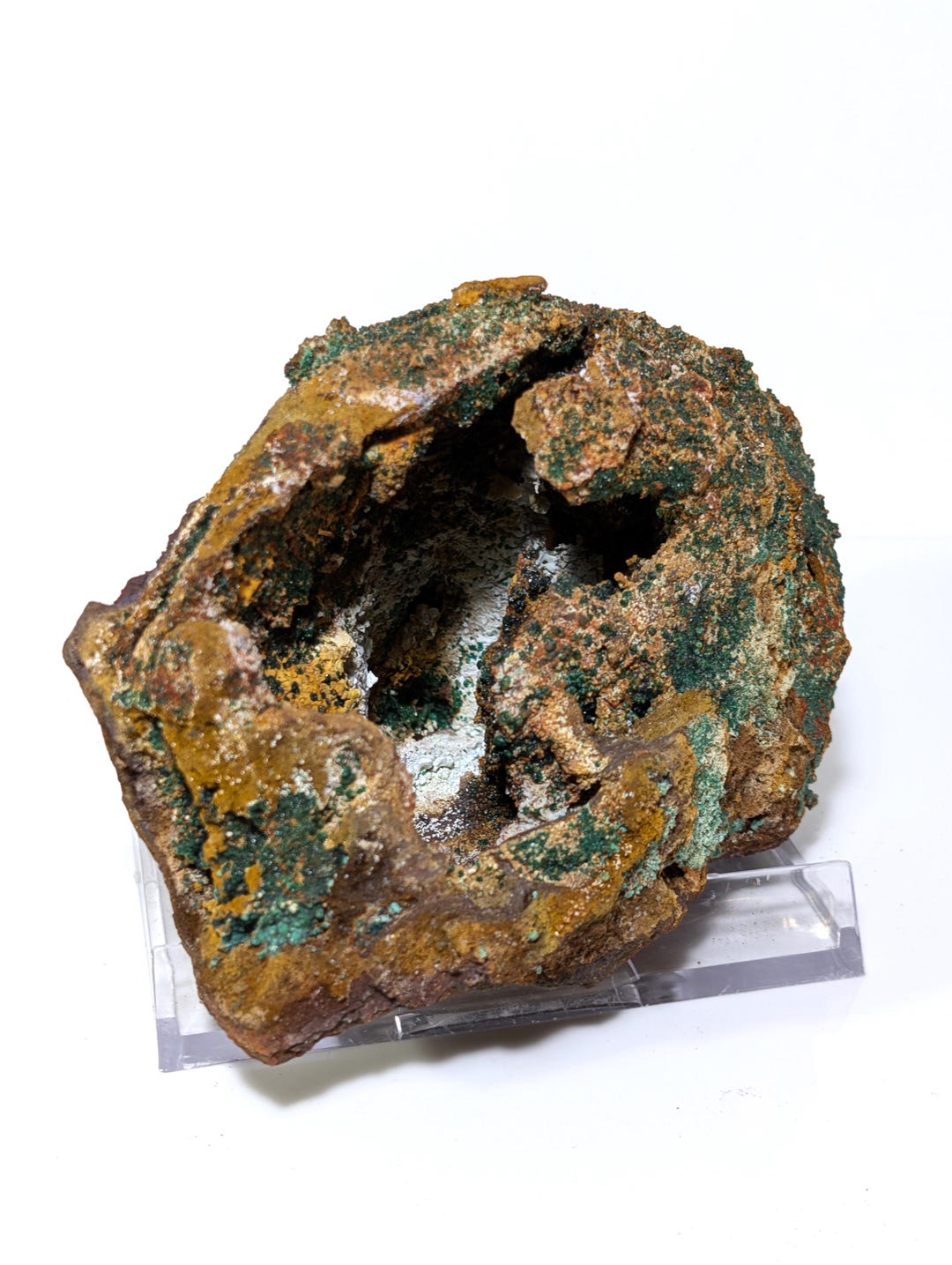 Very Rare Amazing Shell Fossil With Crystalline Copper Αdamite and ...