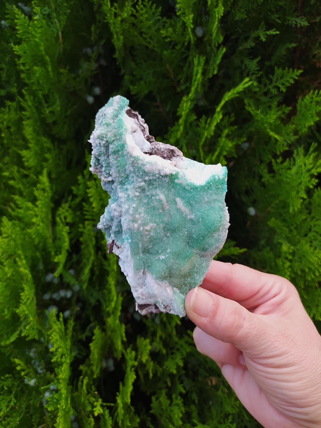 Conichalcite With White Calcite in Manganese Rock, Greek Mineral,green ...