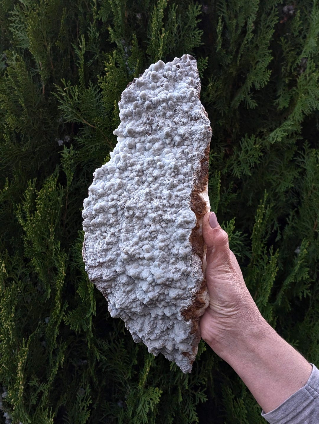 Smithsonite Gray Botryoidal Museum Size,greek Mineral,amazing Gift, Raw ...