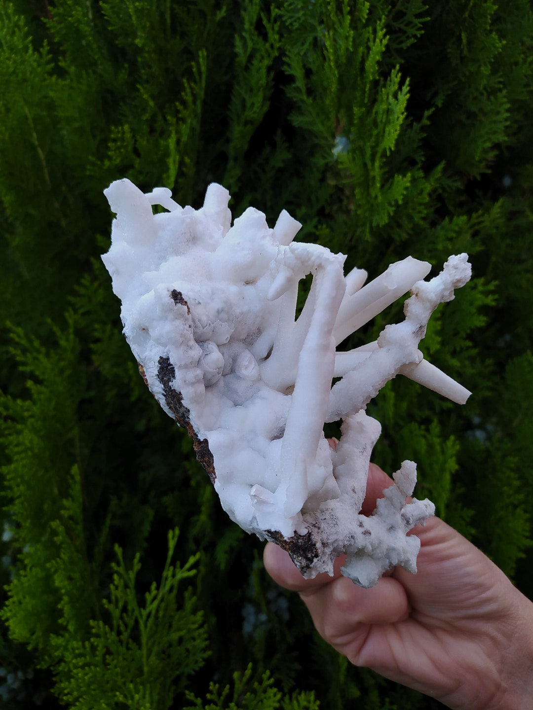 Aragonite Crystals Flos Ferri, Greek Mineral,rare Specimen, White Gift ...