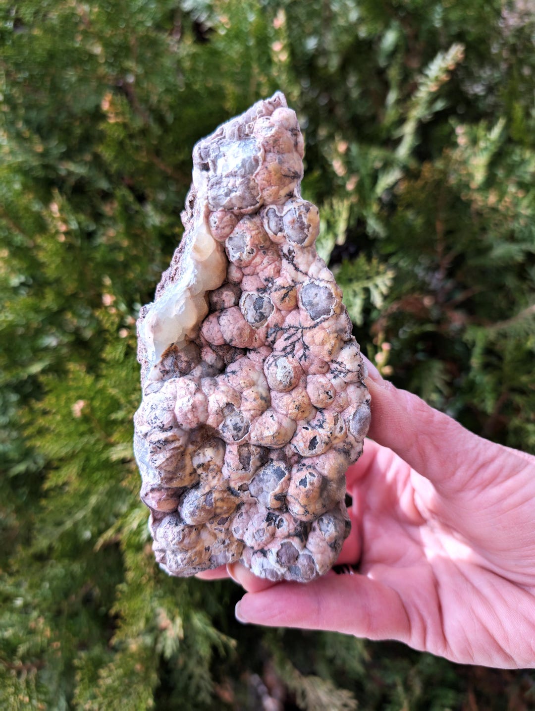 Smithsonite Botryoidal in Amazing Colors of Pink, Yellow, Green ,greek ...