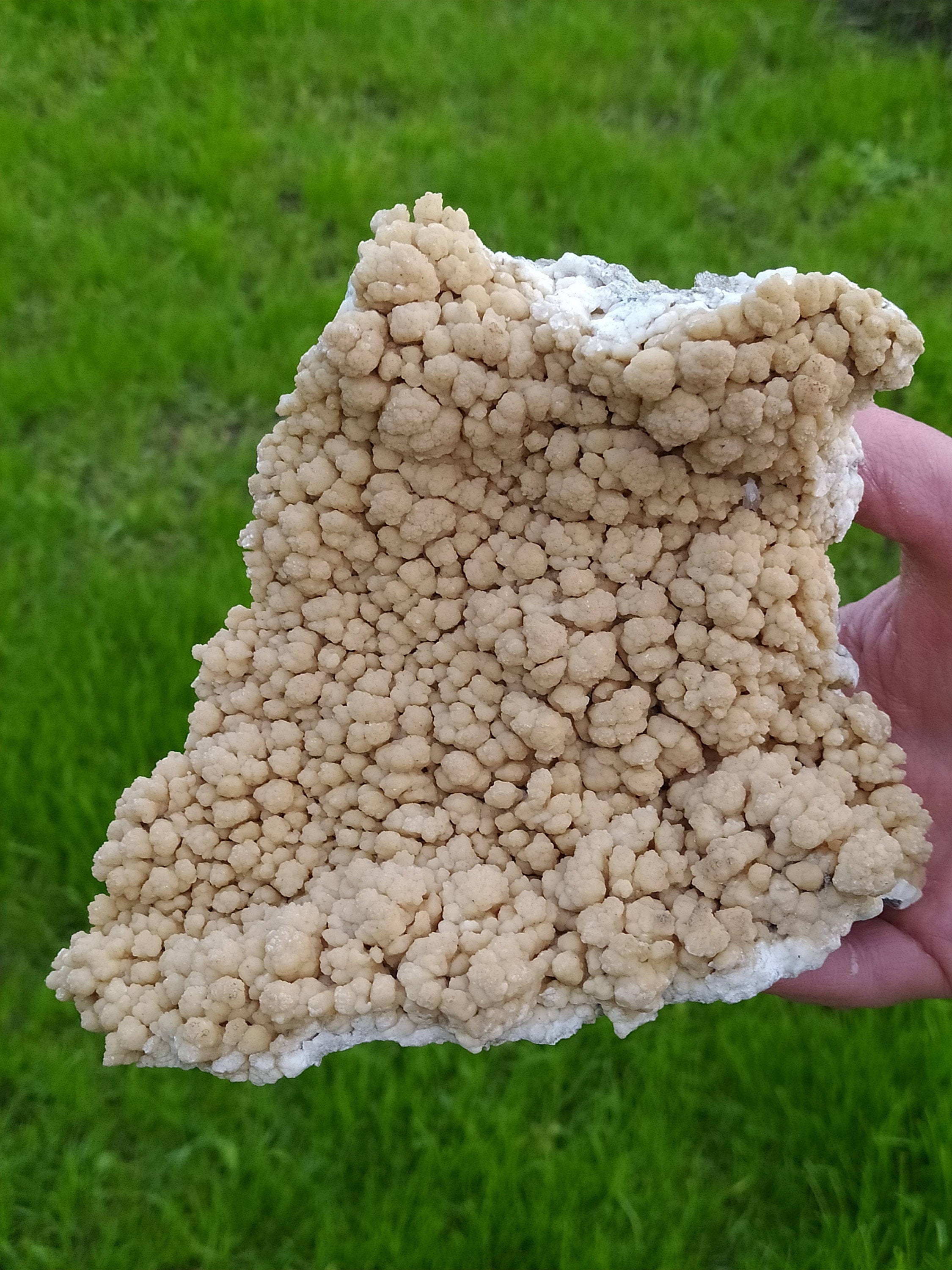 Rare Yellow Botryoidal Calcite ,large Rock ,greek Mineral, Raw Crystal ...