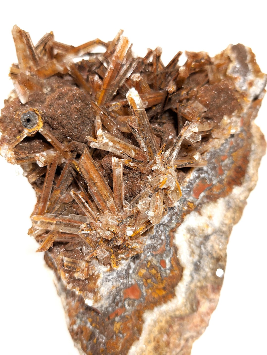 Cluster of Selenite Crystal Rods in Brown Smithsonite,large Specimen ...