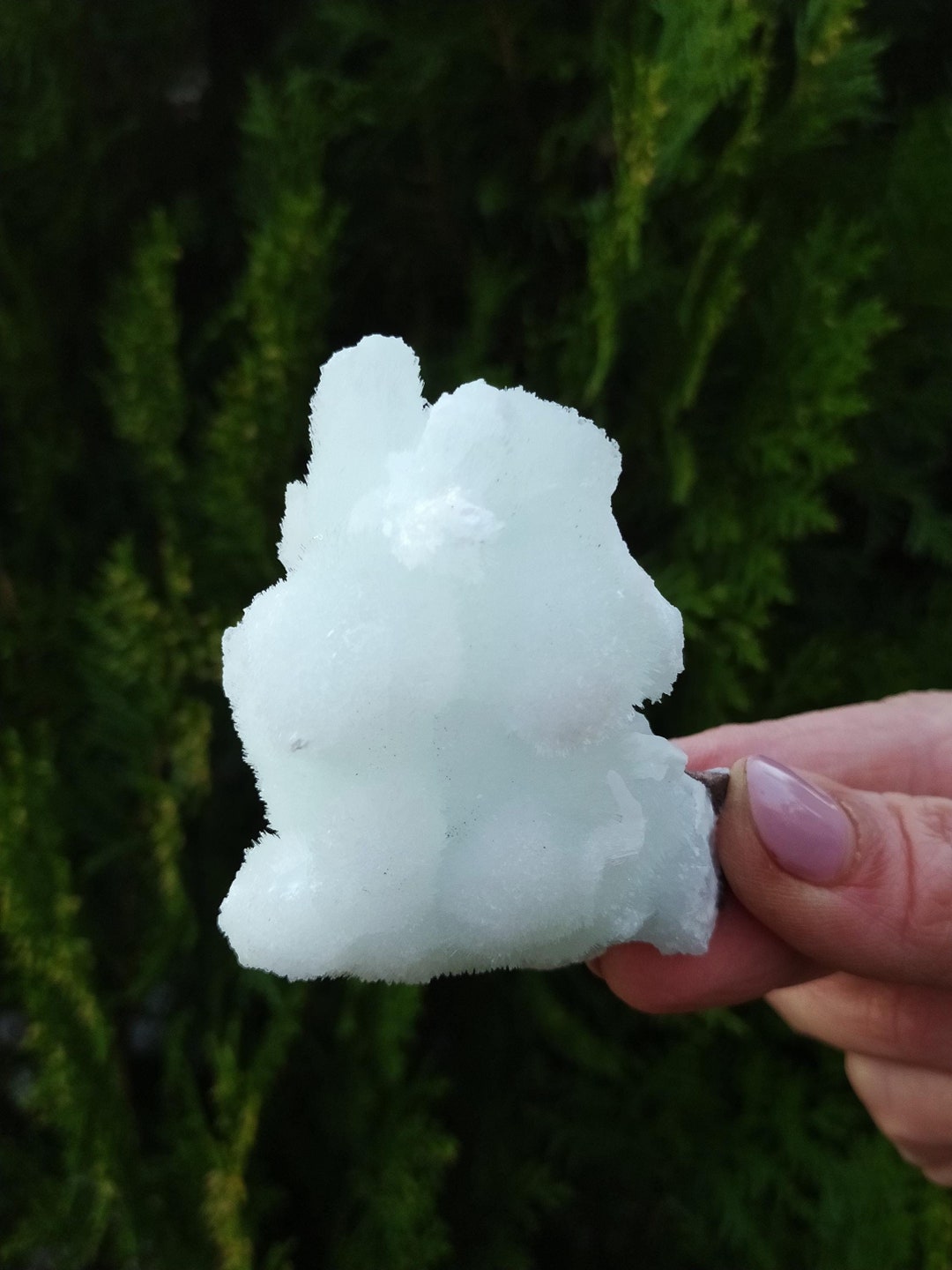 Blue Green Acicular Aragonite Coralloid Crystals ,greek Mineral,rare ...