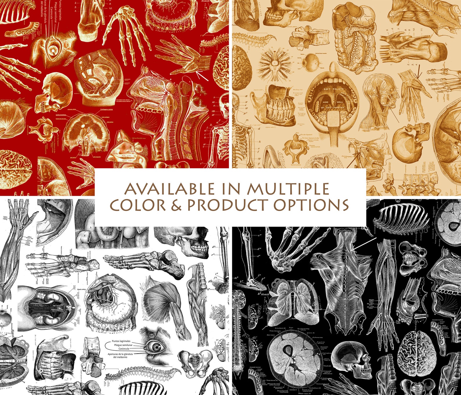 Human Anatomy Printed White on Black Microfiber Pillow Sham - Etsy