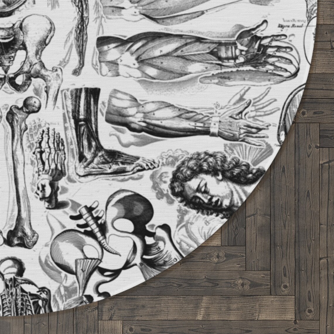 Human Anatomy Vintage Diagrams Round 60 Inch Rug - Etsy