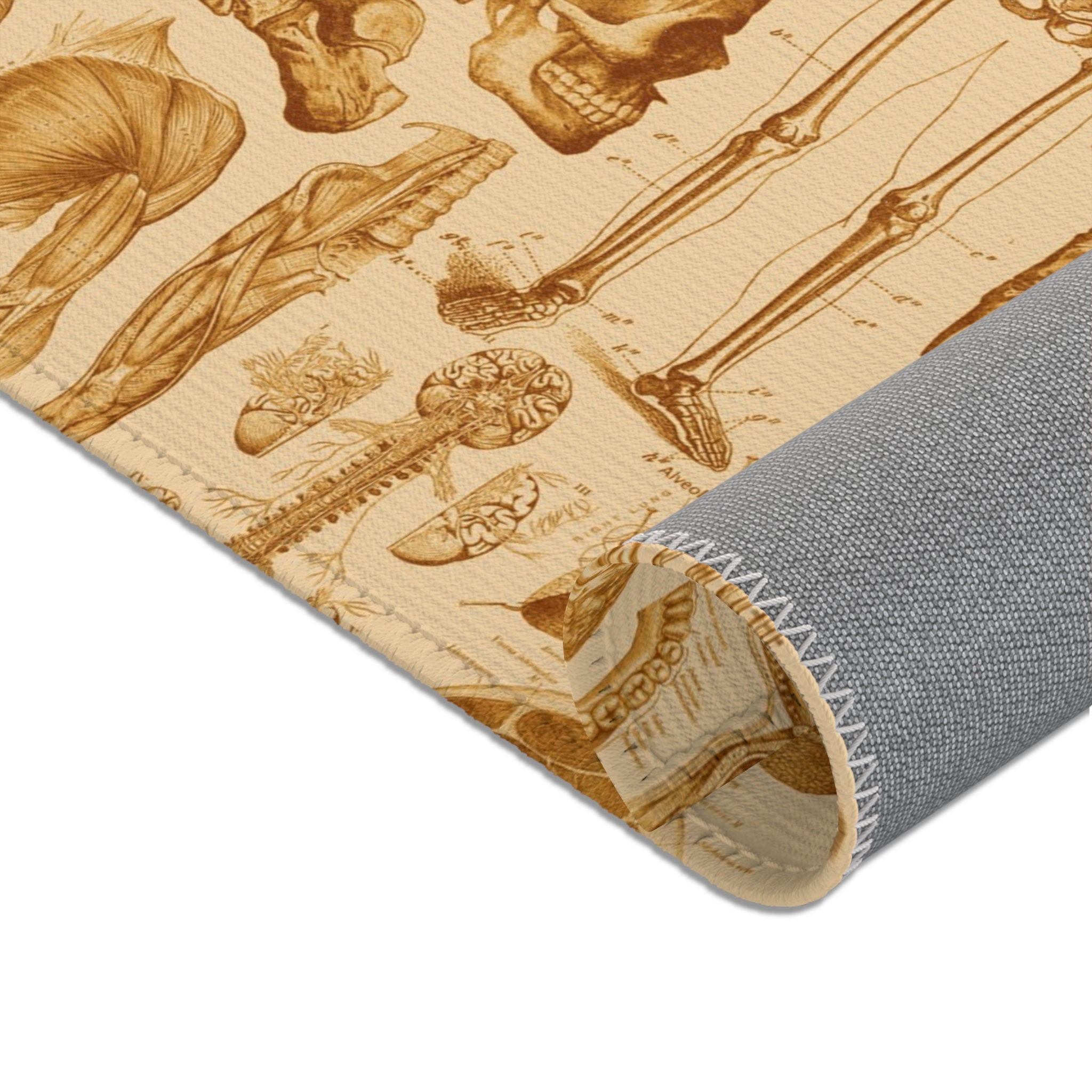 Human Anatomy Tan Color Gothic Design Area Rugs - Etsy