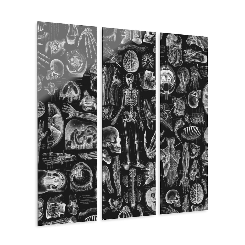 3ft Tall/wide Black Gothic Human Anatomy Acrylic Print Panels - Etsy