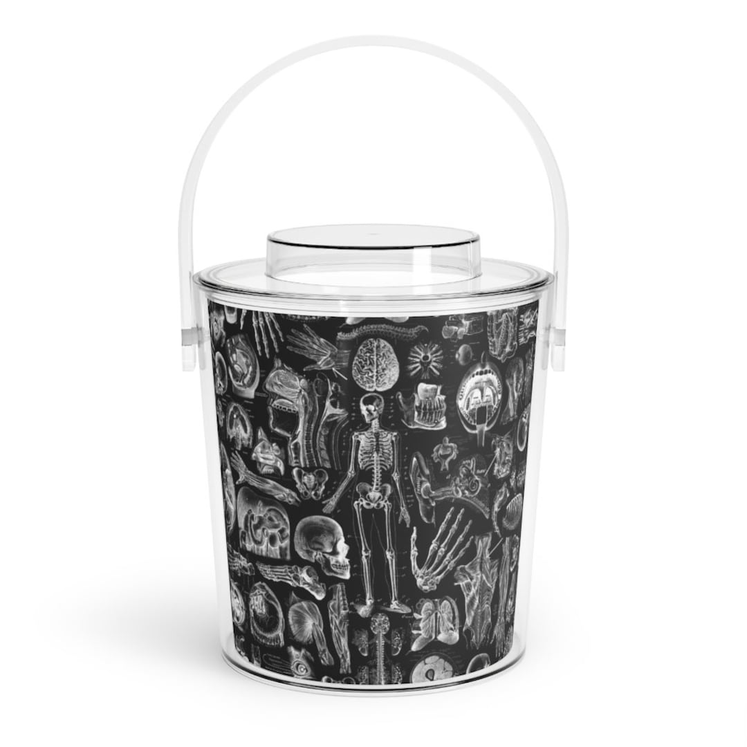 Black Gothic Human Anatomy Ice Bucket 3 Pieces, Bucket, Lid and Tongs ...