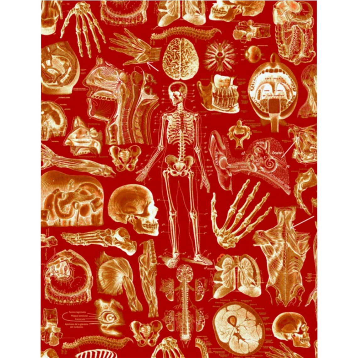 Human Anatomy Printed Gold on Dark Red Microfiber Duvet Cover - Etsy