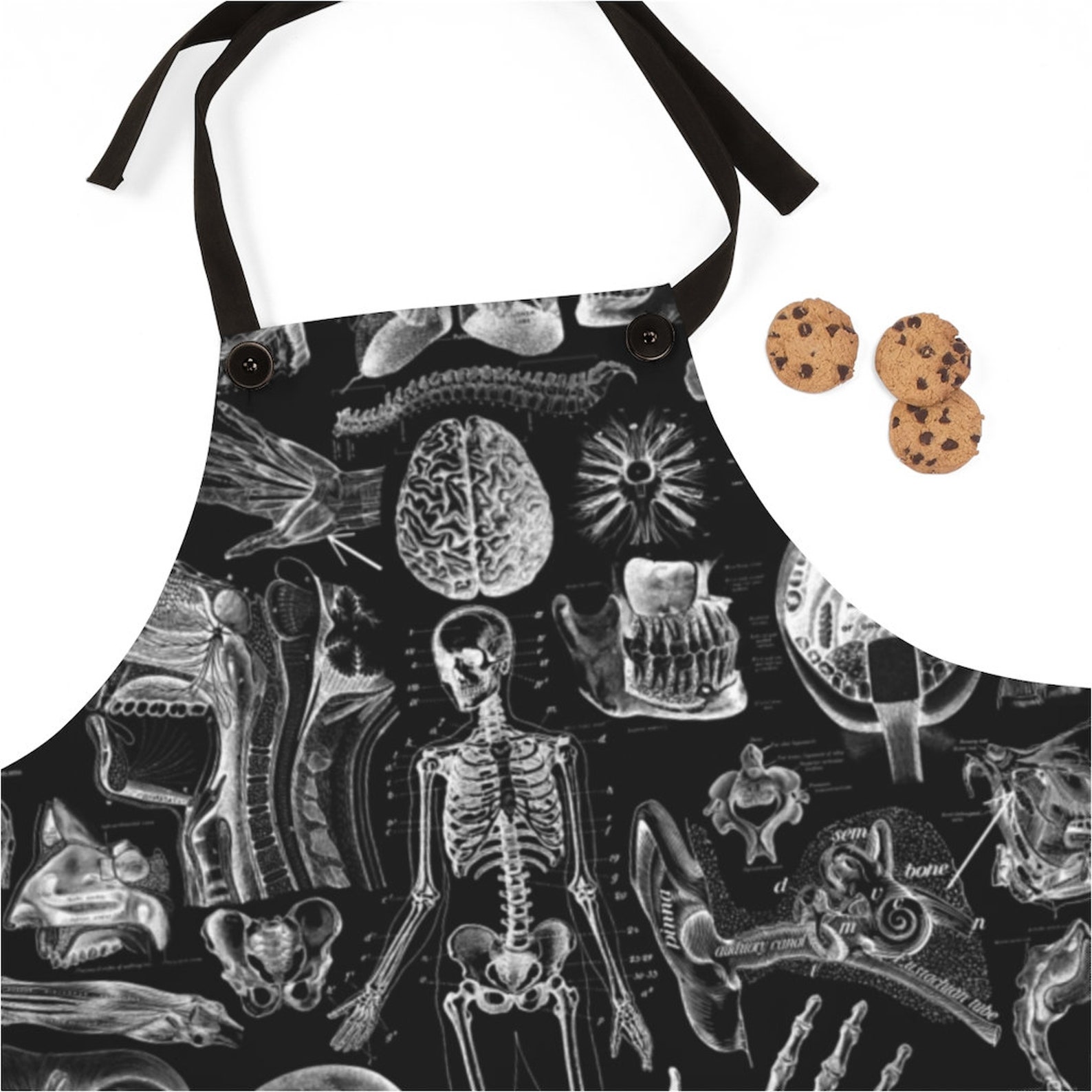 Human Anatomy White on Black Print Apron - Etsy