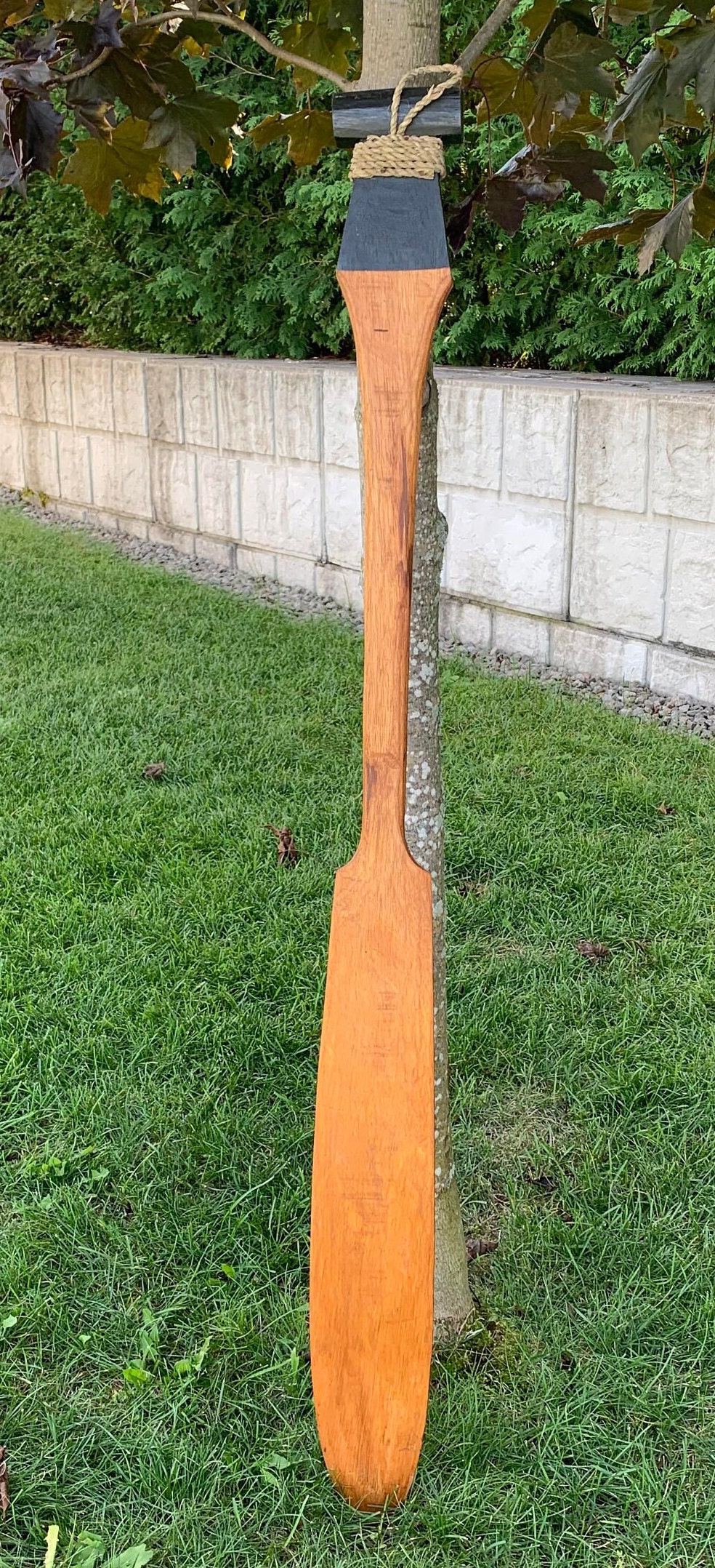 Decorative Indigenous Ceremonial Dancing Paddle Carved in the Style of ...