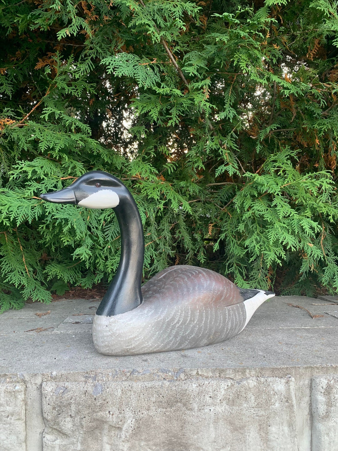 Life Sized Well Carved and Hand Painted Wooden Canada Goose - Signed ...