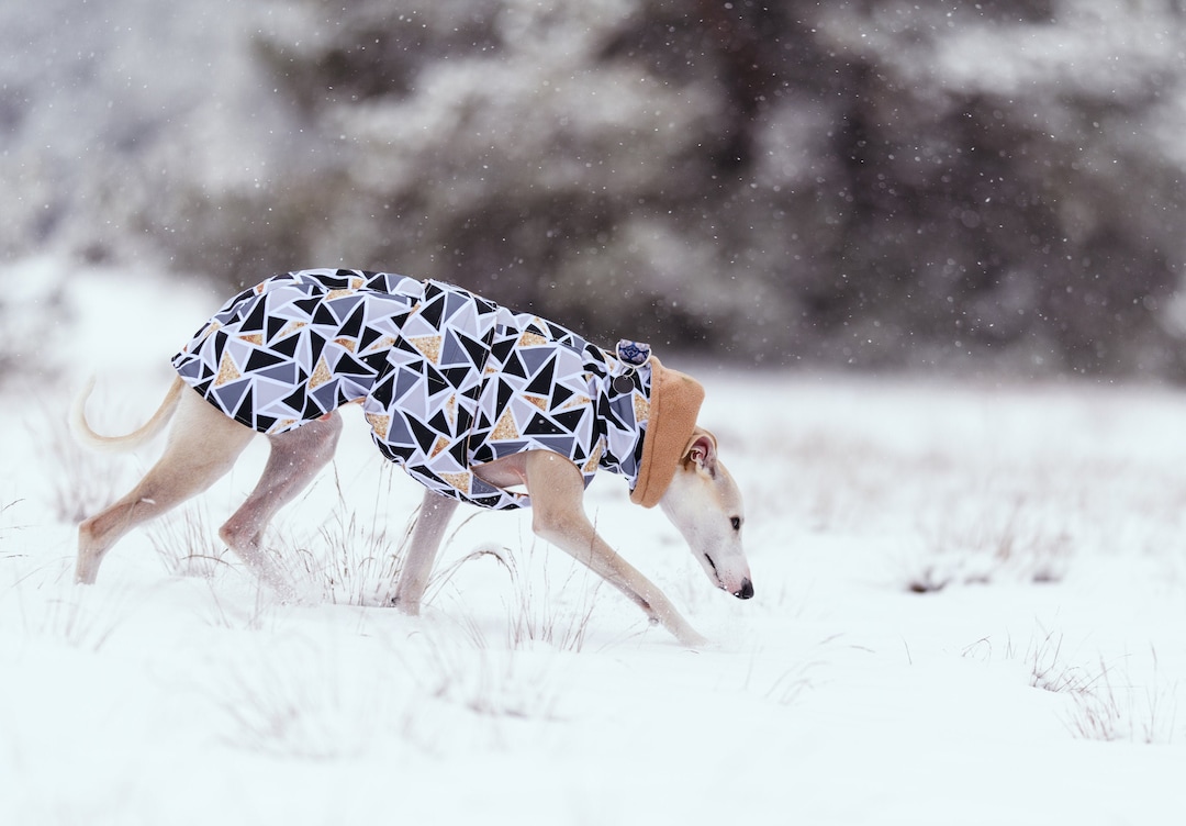 Waterproof Winter Coat for Whippets, Sighthounds and Other Dogs - Etsy