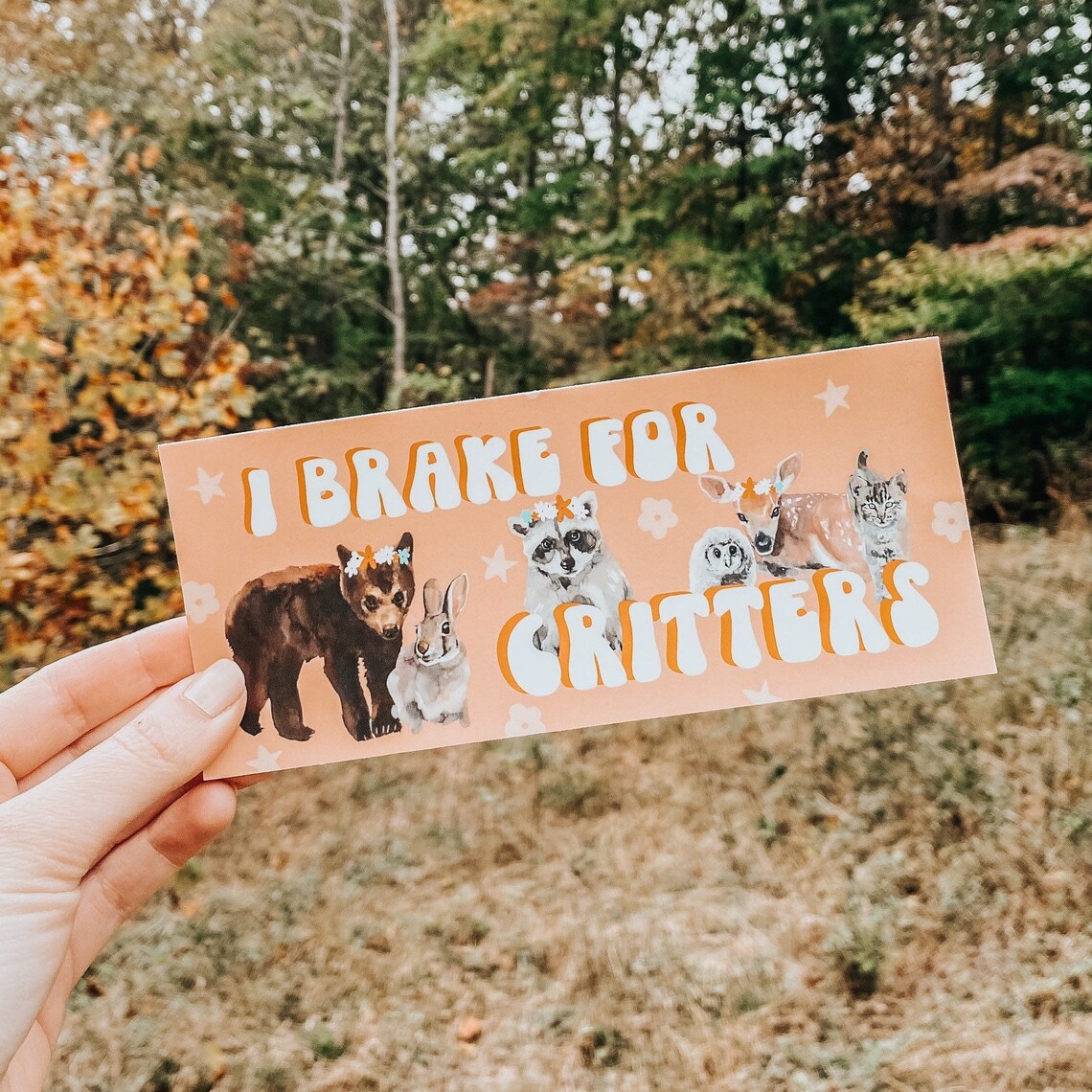 I Brake for Critters Car Bumper Sticker Animal Lover Car - Etsy