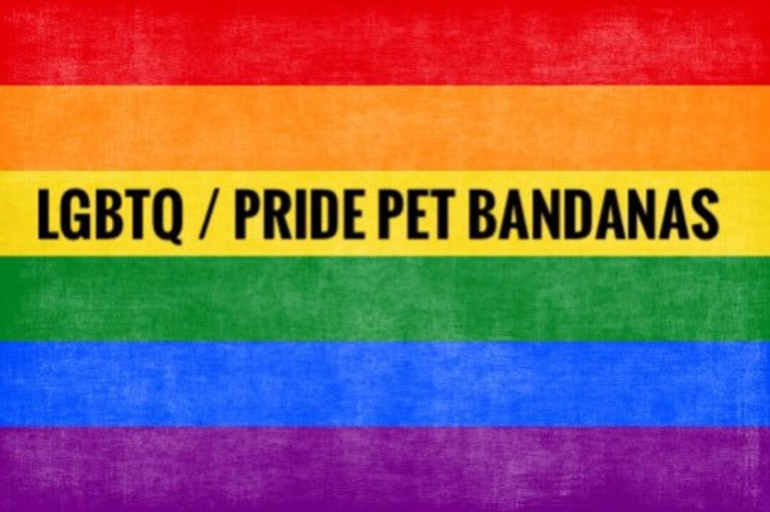 LGBTQ Pride Month Pet Bandanas - Etsy