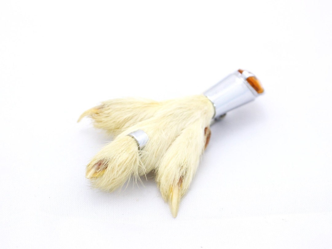 Lucky Scottish Grouse Claw Brooch, C, 1950s - Etsy UK