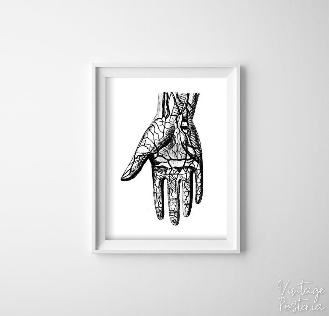 Anatomical Hands Print Medical Decor Human Canvas Poster, Canvas Poster ...