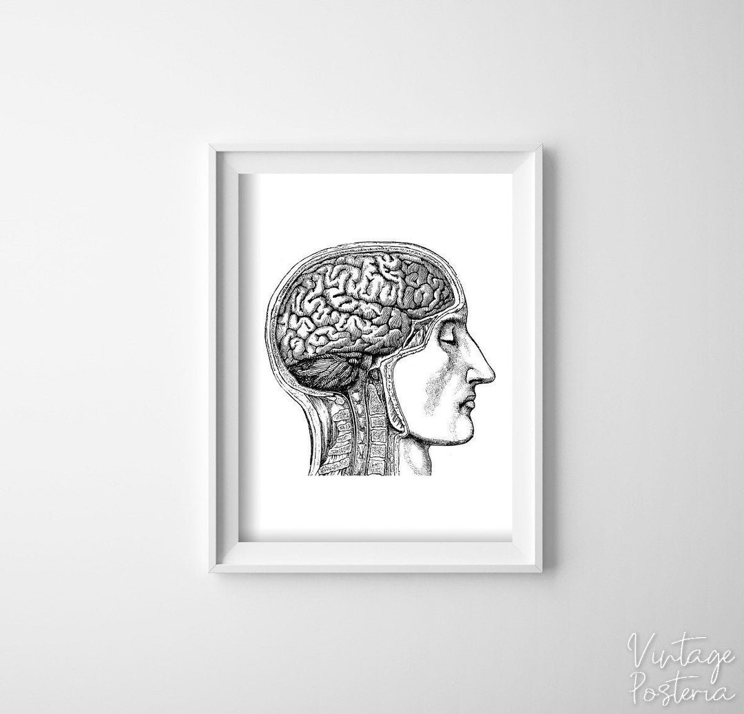 Retro Anatomical Brain Medical Retro Poster, Retro Wall Art, Anatomical ...