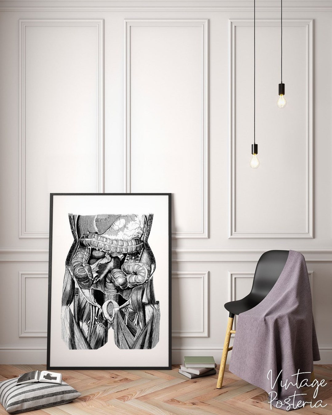 Retro Intestine -anatomical Prints Canvas Poster, Modern Wall Decor ...